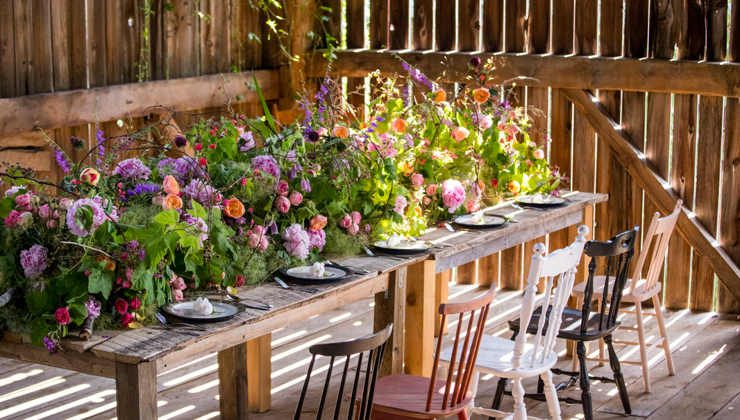 Olivia's Garden – Olivia's Garden